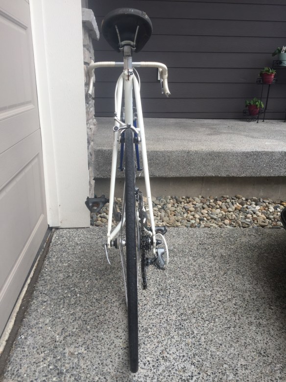 [SOLD] Shogun Katana – all Japan made – Shimano Exage | Hernan Vivani's ...